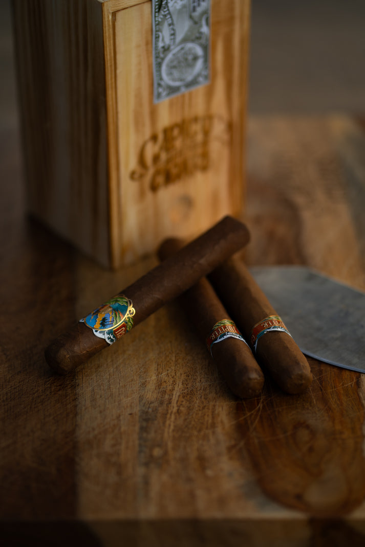 La Primera Box of 12 – Capicu Cigars
